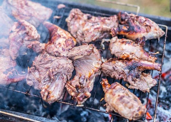 Nutria meat on grill. — Free Stock Photo © Valentyn_Volkov #193753614