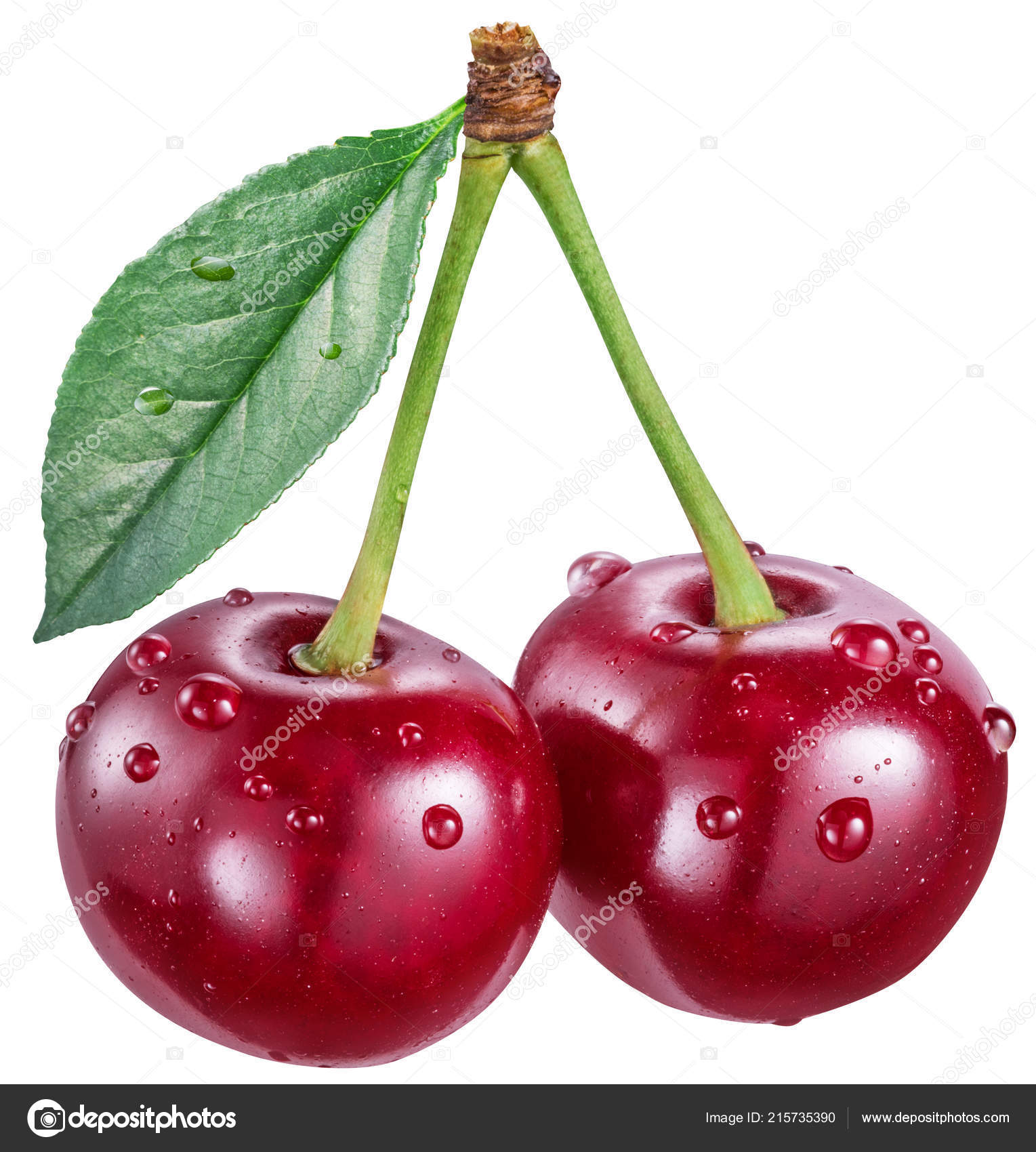 Cherries In Water Background