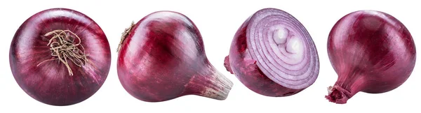 Red Onion Bulbs Cross Sections Onion Spring Onion White Background ...