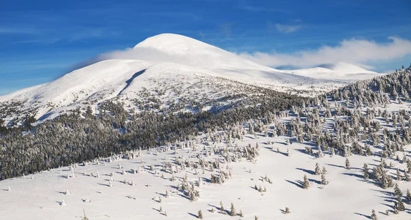 Goverla Stock Photos, Royalty Free Goverla Images | Depositphotos®