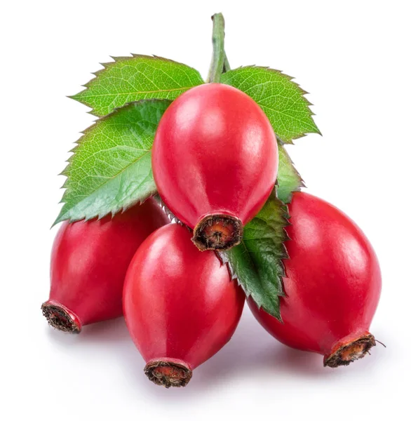 Rose hips Stock Photos, Royalty Free Rose hips Images | Depositphotos