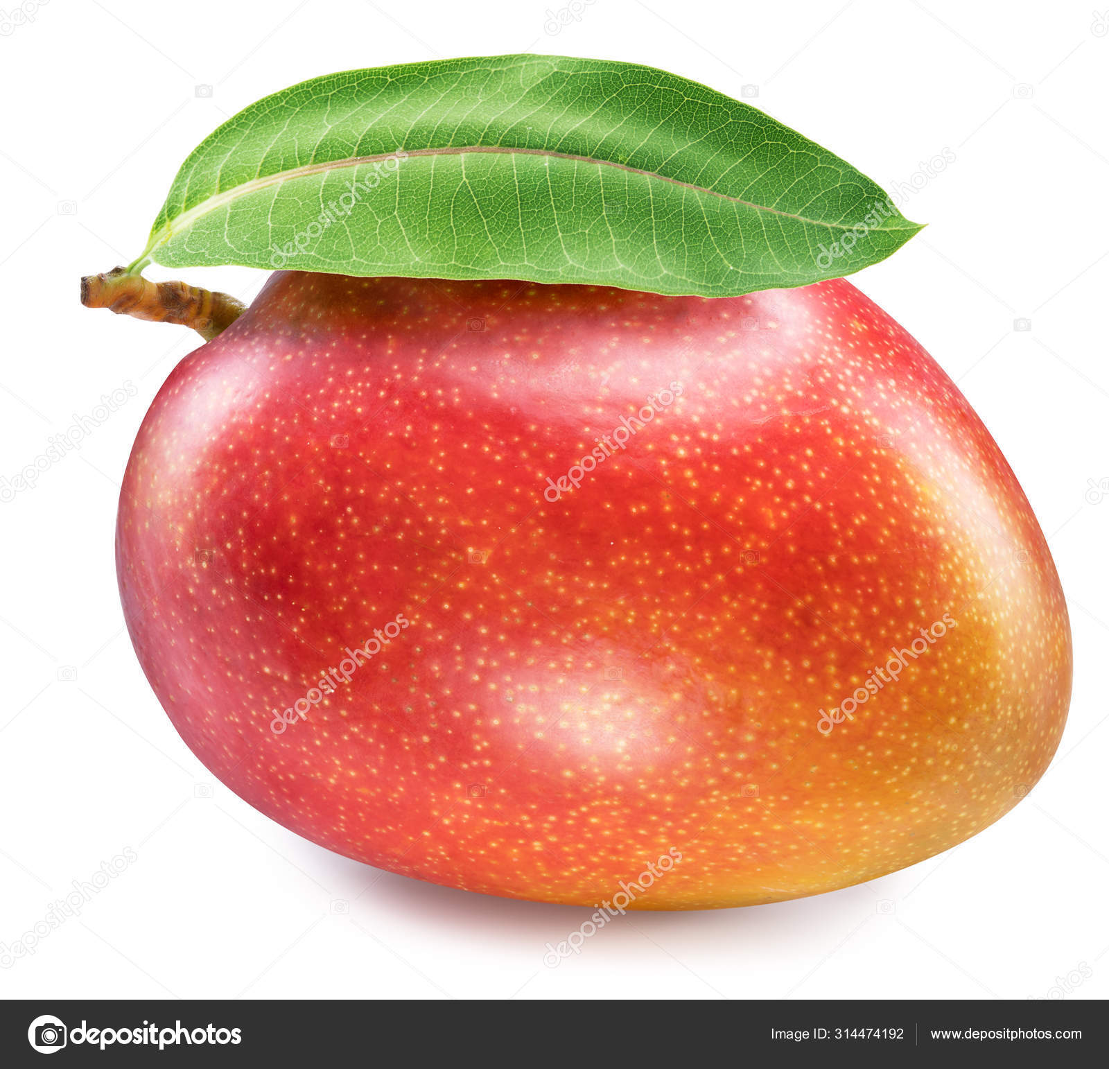 Perfect ripe mango fruit with a leaf on white background. File — Stock ...