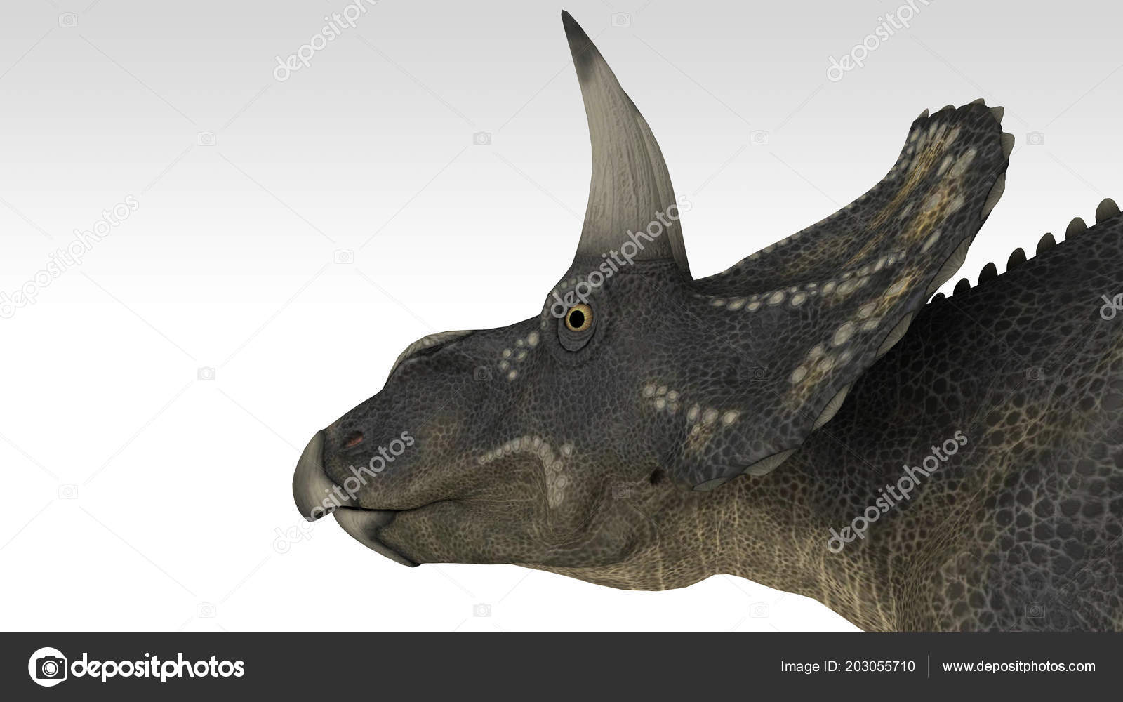 Diceratops