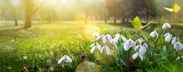 March landscape Stock Photos, Royalty Free March landscape Images ...