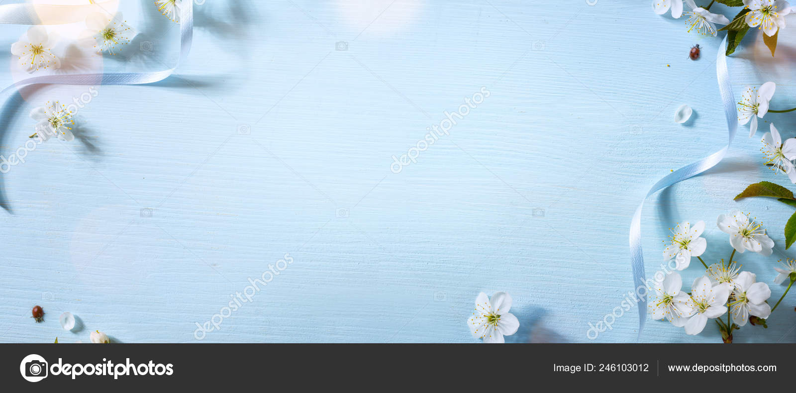 Spring Floral Background Spring White Flower Bright Easter Background ...