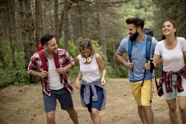 Group of young people are hiking in mountain at spring day - Stock ...