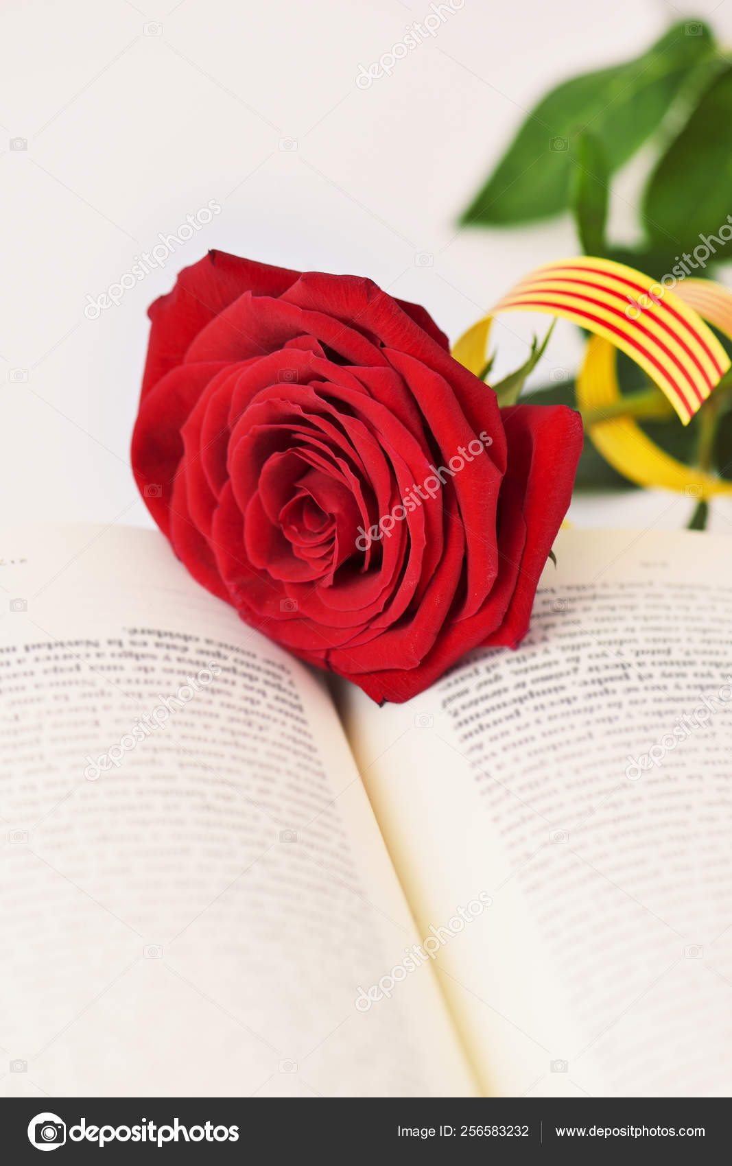 San Jorge Dia Del Libro Y La Rosa - Leer un Libro