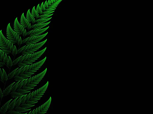 Silver fern Stock Photos, Royalty Free Silver fern Images | Depositphotos