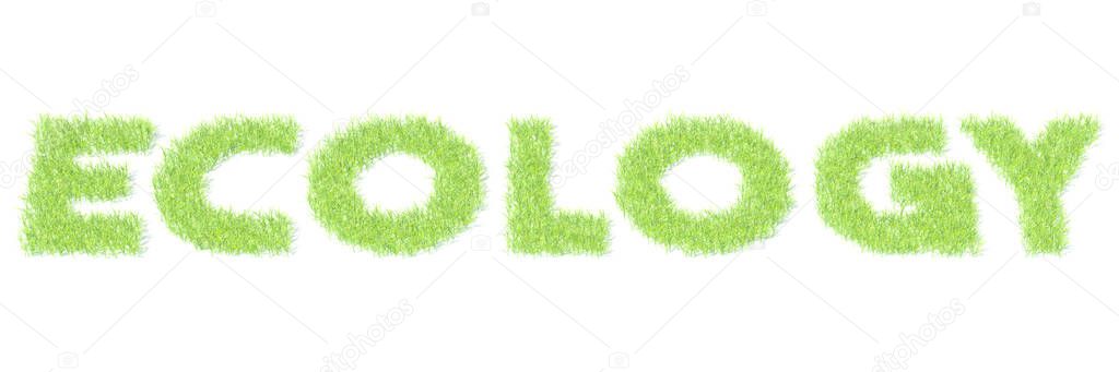 Cecology Stock Photos, Royalty Free Cecology Images | Depositphotos