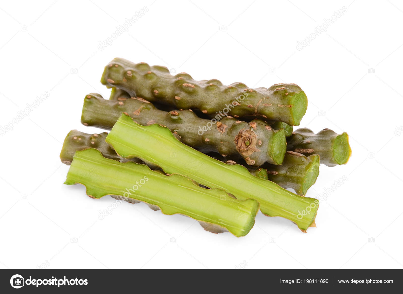 Tinospora Cordifolia Bora Phet Thai Name Isolated White Background ...