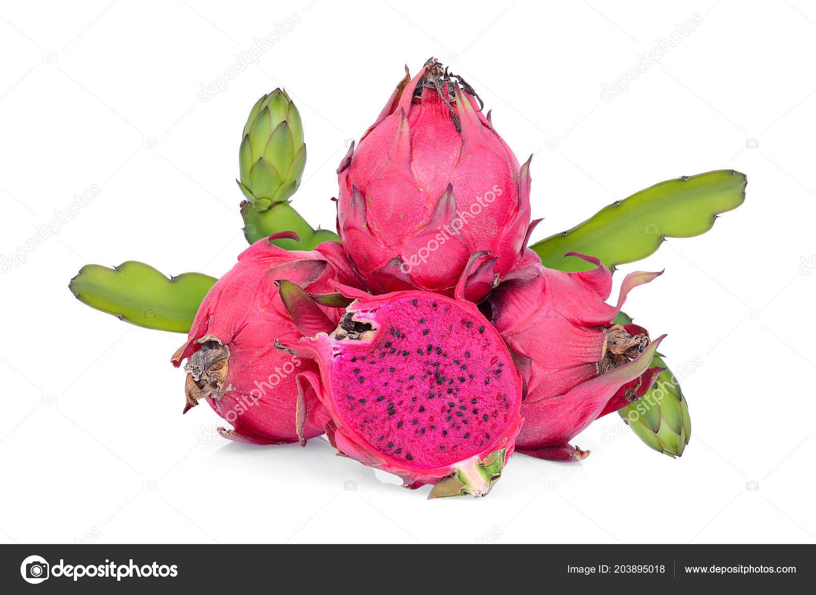 Red Pitaya Red Dragon Fruit Dragon Fruit Tree Isolated White Stock ...