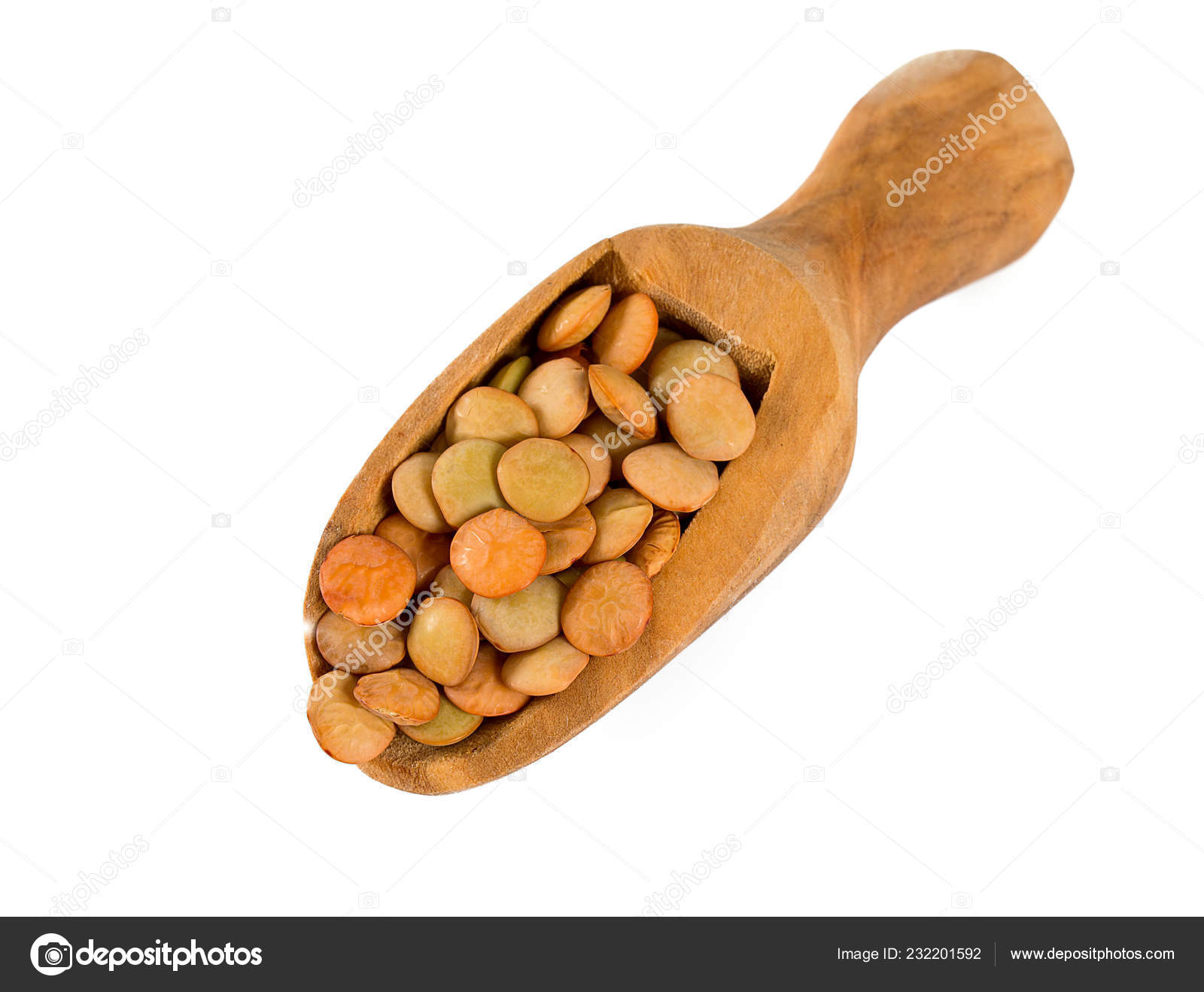Lentil Isolated White Background Stock Photo by ©dianazh 232201592