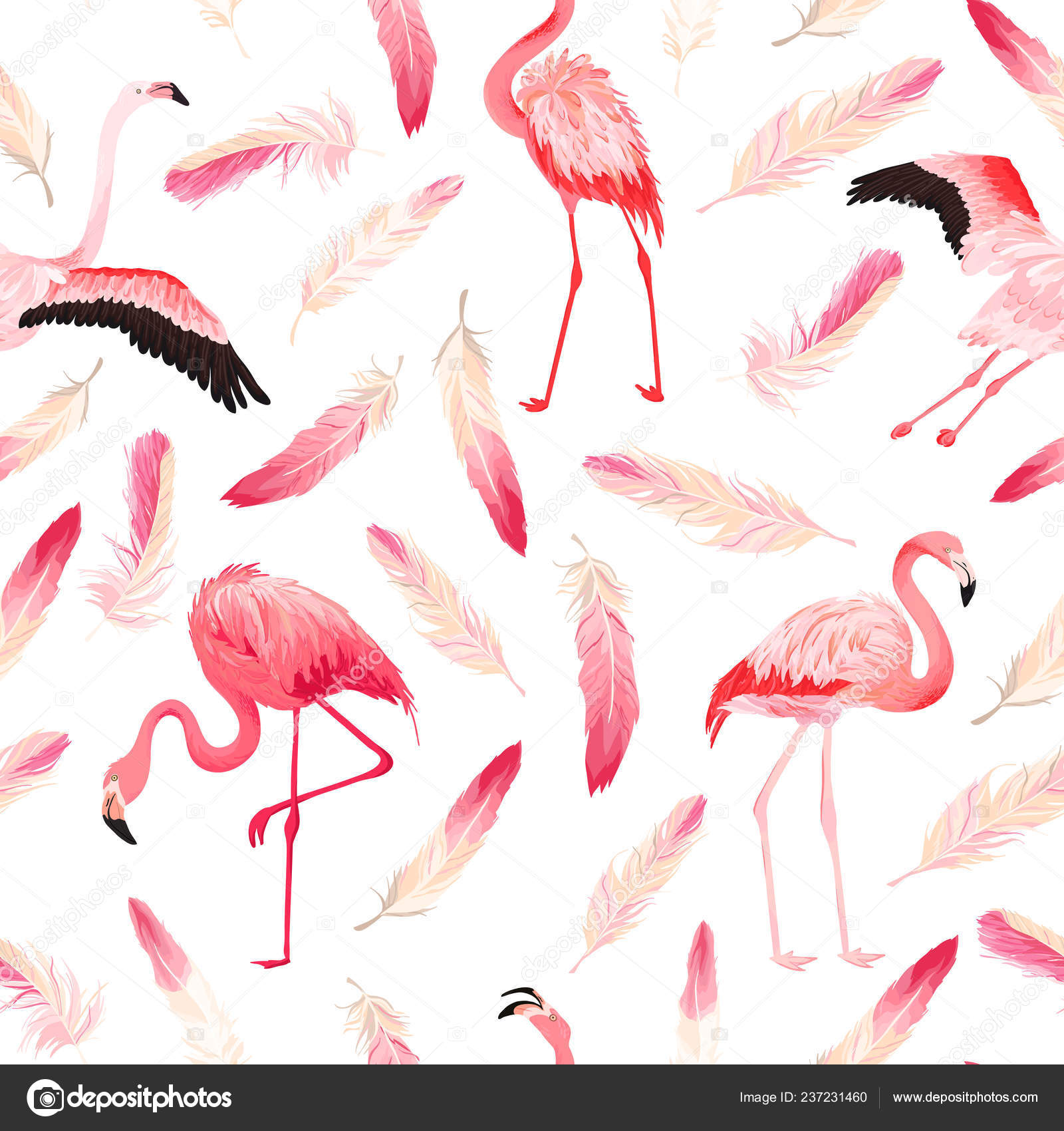 Flamingo Feather Pattern