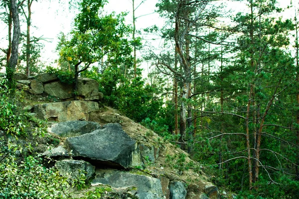 Forest rocks Stock Photos, Royalty Free Forest rocks Images | Depositphotos