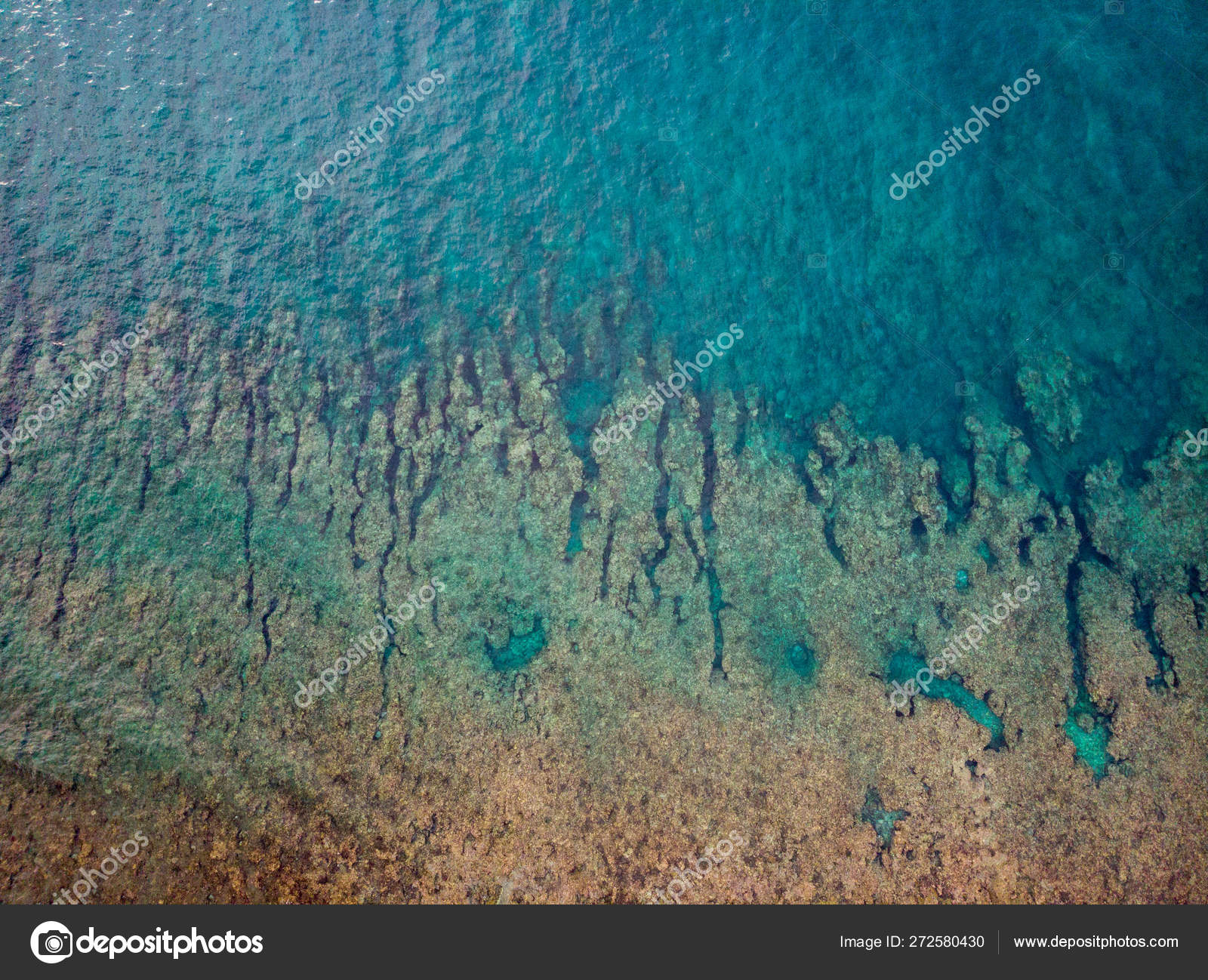 Riff Ocean Mauritius Island Indian Ocean 2019 — Stock Photo © Dmitry100 ...
