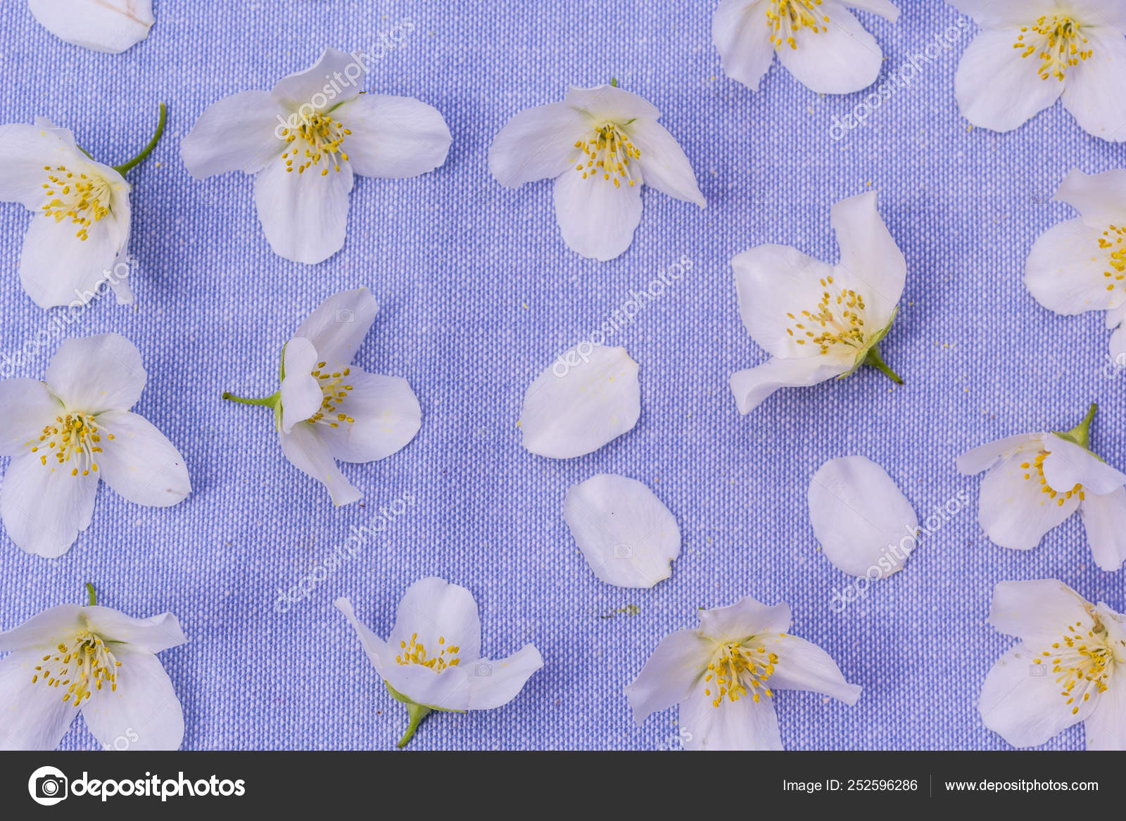 White Spring Flowers Fabric Background — Stock Photo © Julietart #252596286