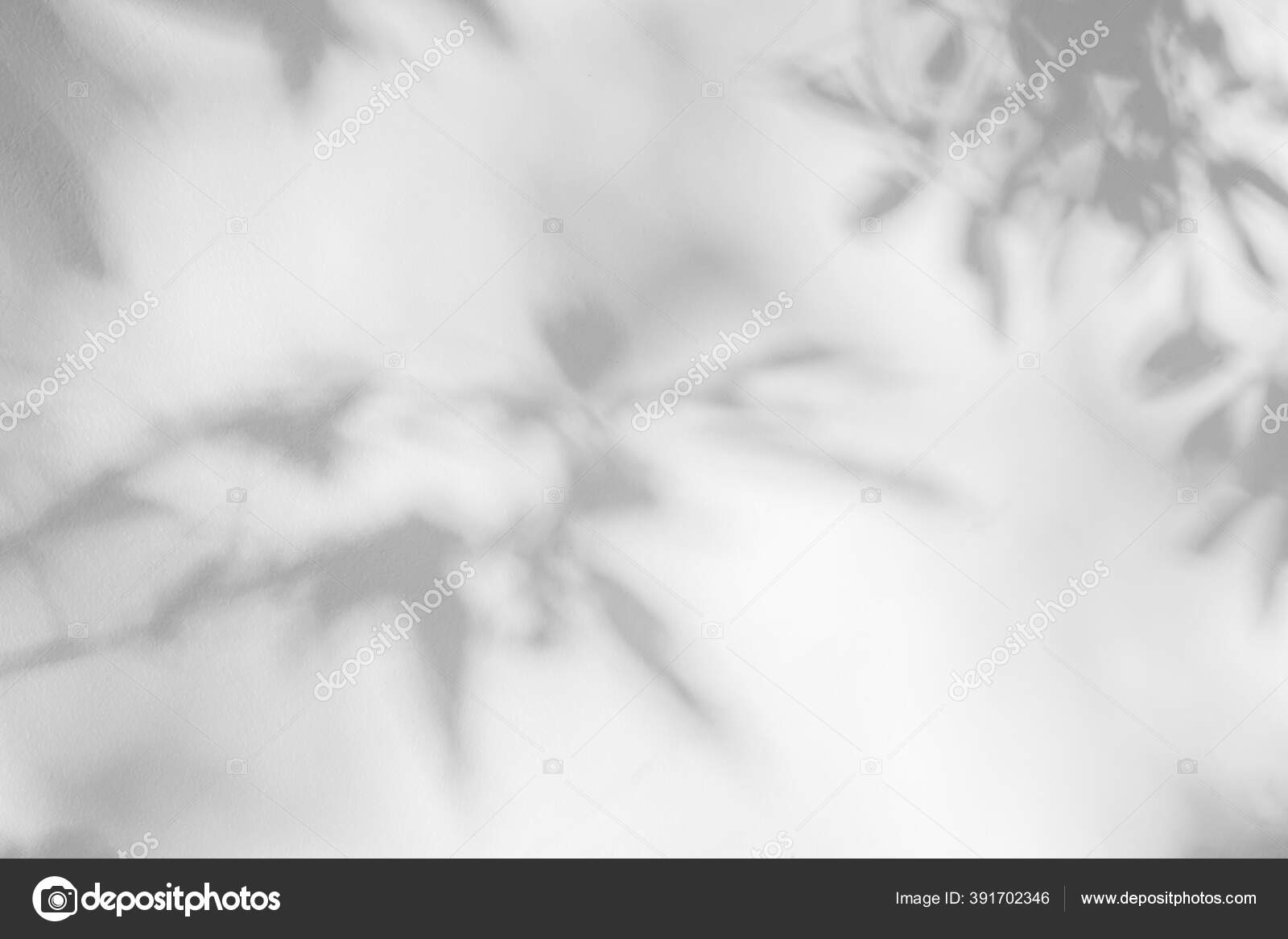 Abstract Plant Leaf Shadow Sunlight Blurred Background Nature Leaves ...
