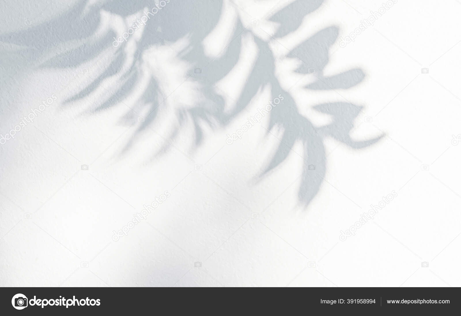 Leaf Shadow Wall Nature Tropical Leaves Tree Branch Plant Shade Stock ...