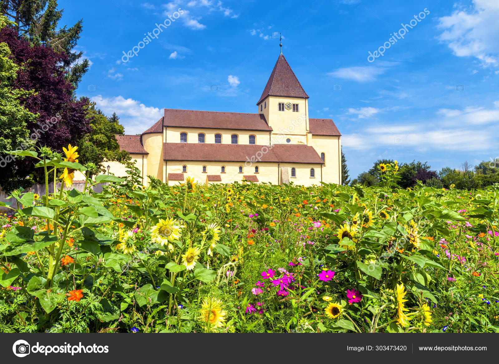 Reichenau Island in Lake Constance, Germany — Stock Photo © scaliger ...