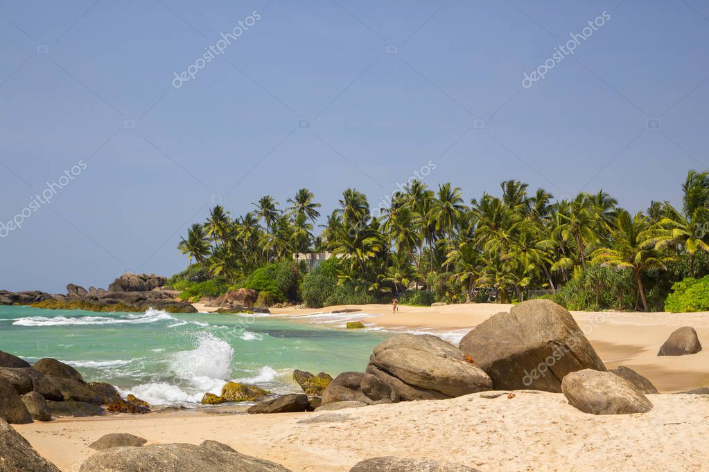 Hermosa playa con palmeras y rocas en la isla tropical de Sri Lanka ...