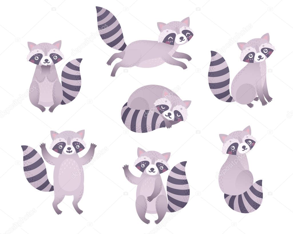 Lindos Mapaches Durmiendo Sentados Jugando Personajes Divertidos Del ...