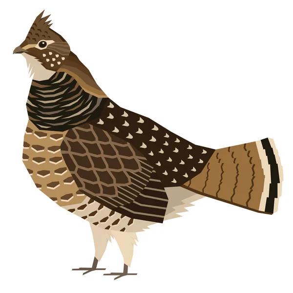 100,000 Grouse Vector Images | Depositphotos