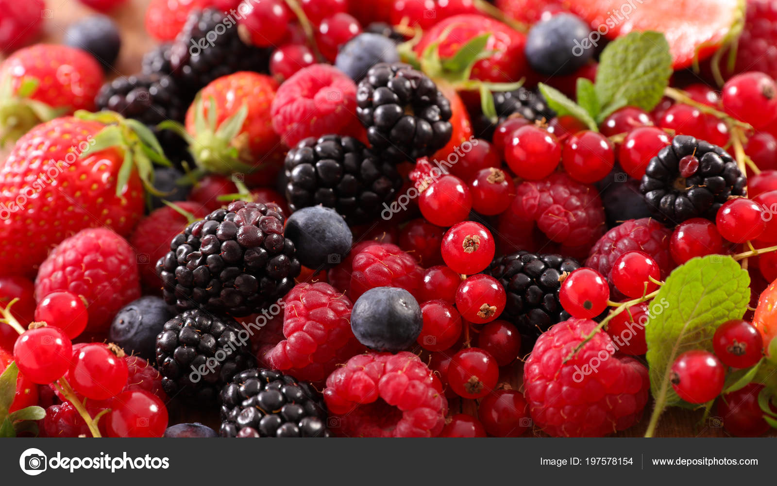 Assorted Berry Fruits Background — Stock Photo © studioM #197578154
