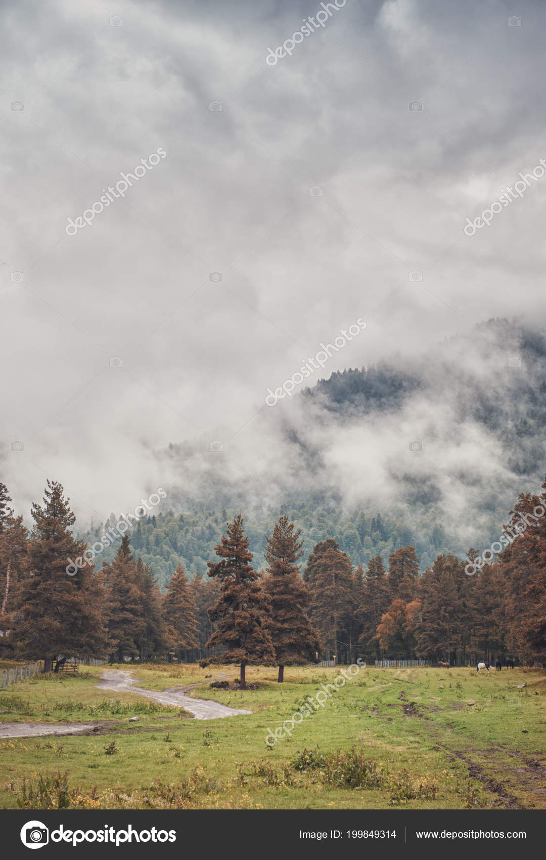 Gloomy Landscape Mountains Clouds Forest Outdoor — Stock Photo ...