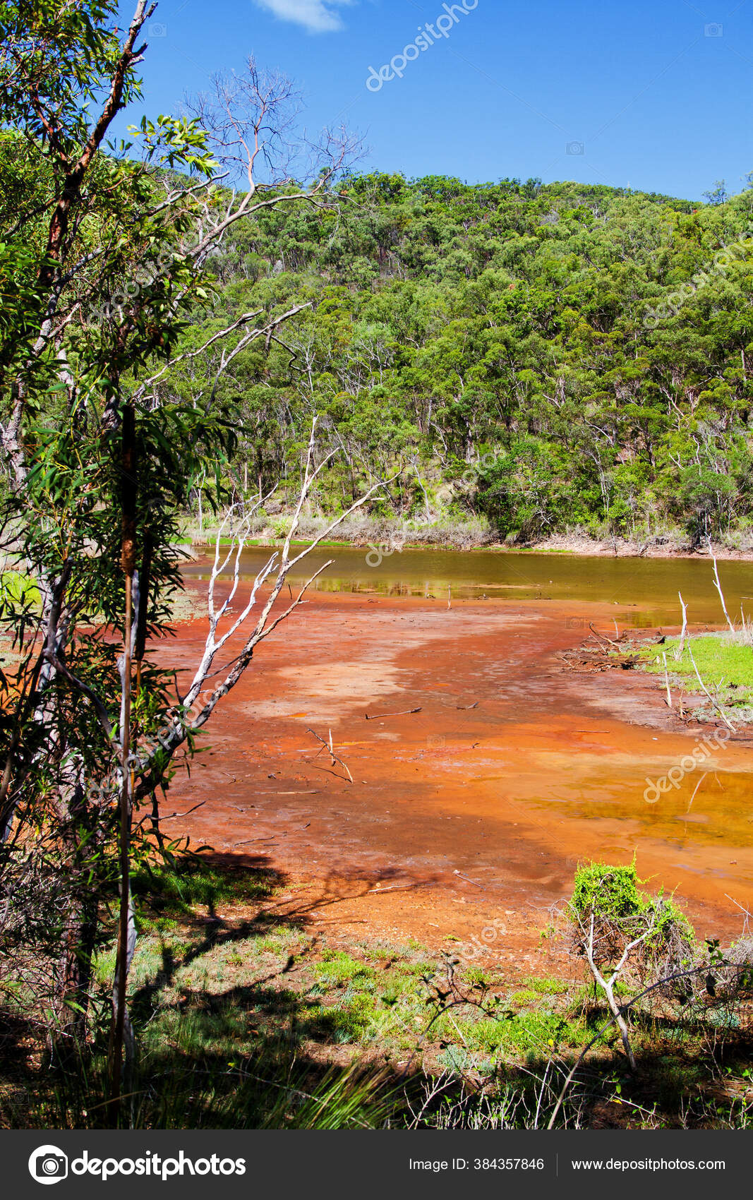 Dry Pond Jungle Australia – Stock Editorial Photo © kefirm #384357846