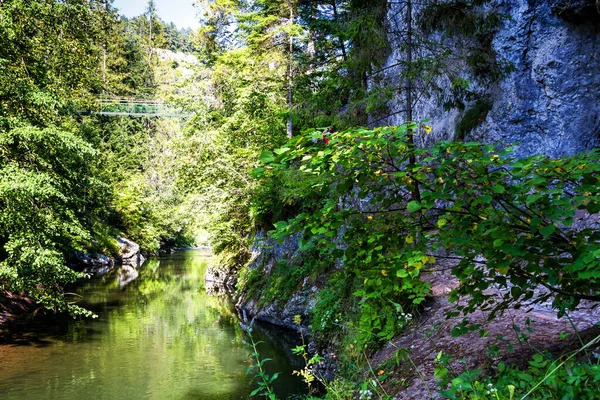 Prielom Hornadu Hornad Gorge Slovensky Raj Slovak Paradise Slovakia ...