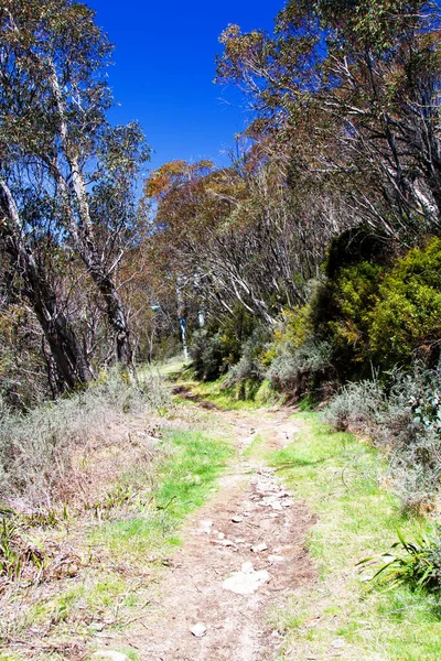 Australian trail Stock Photos, Royalty Free Australian trail Images ...