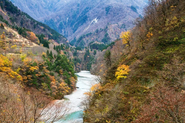 Kurobe River and stones, green area with unspoiled nature at Kurobe ...