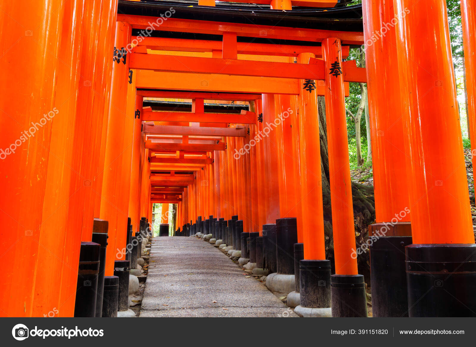 Torii Gates Fushimi Inari Shrine Kyoto Japan — Stock Editorial Photo ...
