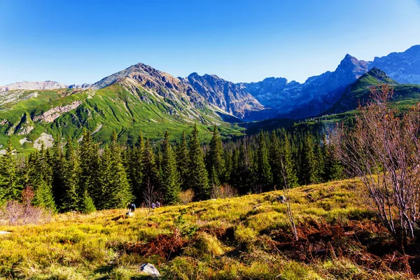 Tatra images libres de droit, photos de Tatra | Depositphotos