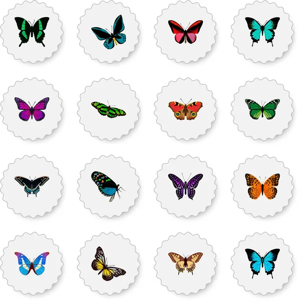 Butterfly ikoner Stock Photos, Royalty Free Butterfly ikoner Images ...