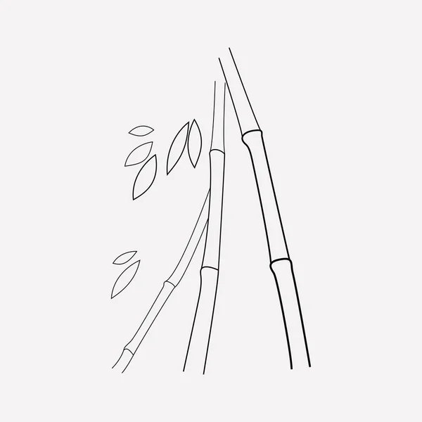 Bamboo tree outline Stock Vectors, Royalty Free Bamboo tree outline ...