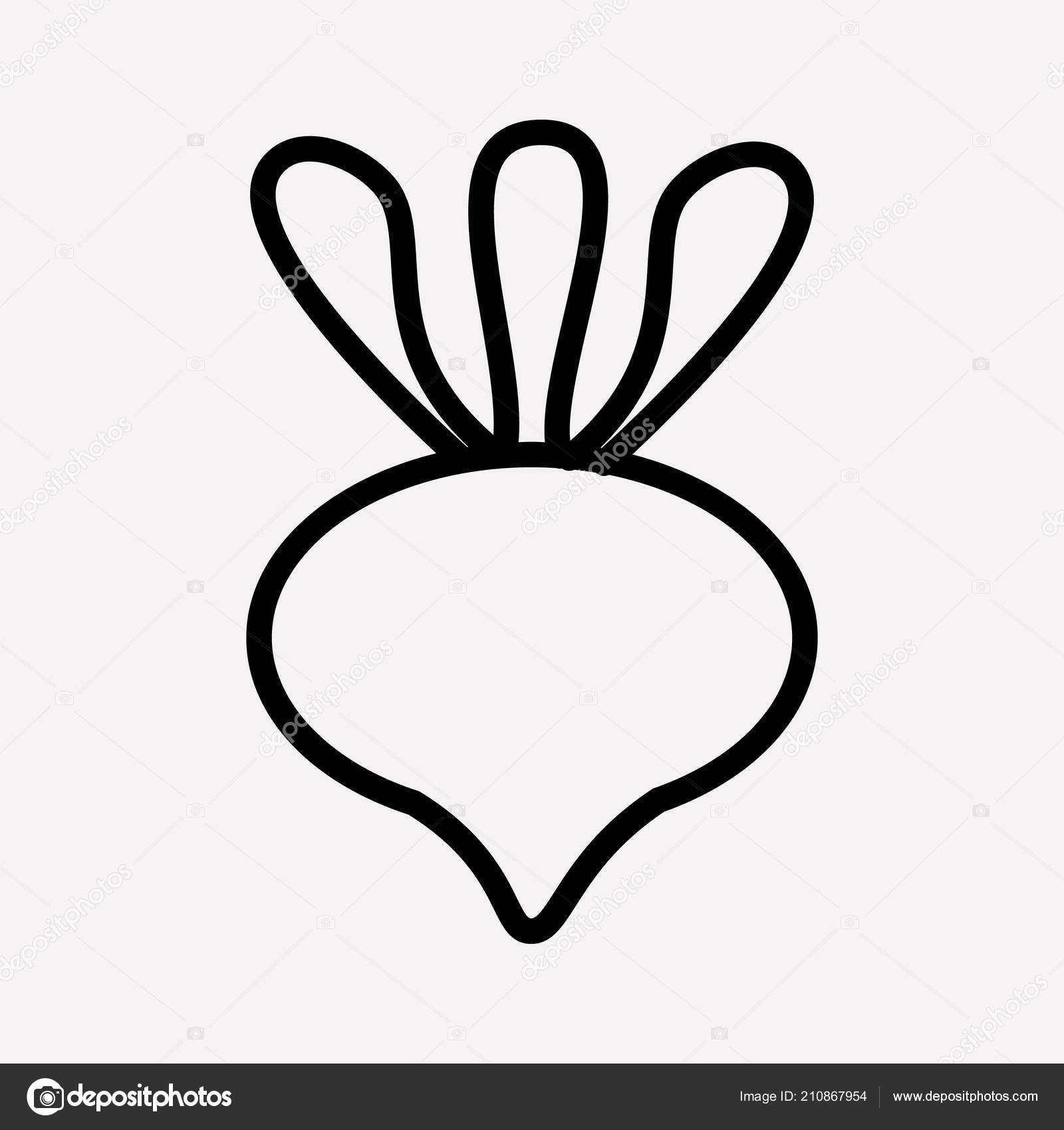 Radish Outline