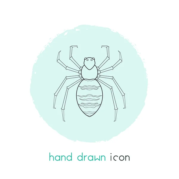 Spider line Stock Photos, Royalty Free Spider line Images | Depositphotos®