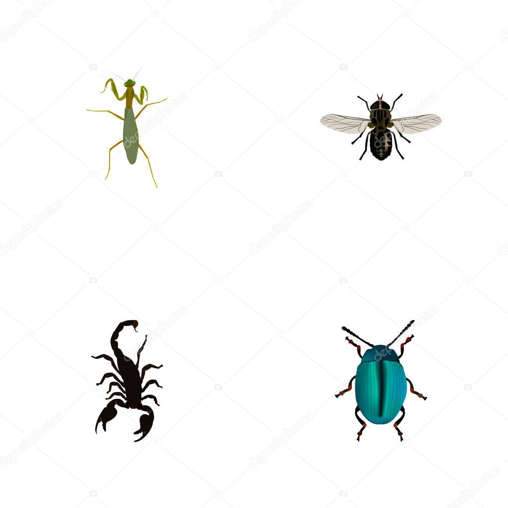 Conjunto de símbolos realistas de errores con insectos, escorpión ...