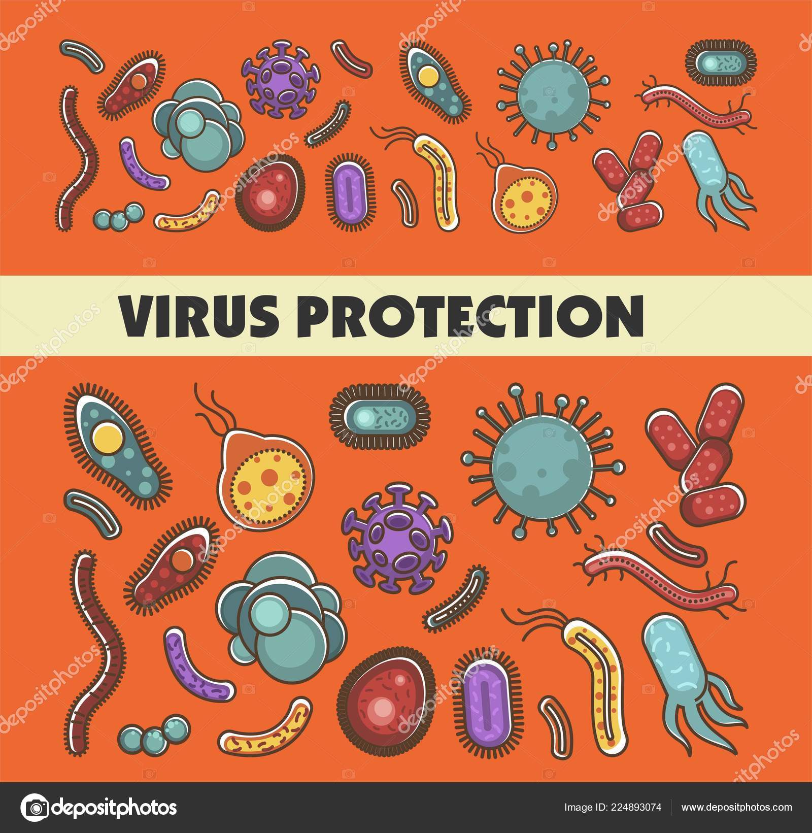 Viruses Bacteria Information Poster Medical Healthcare Infographics ...