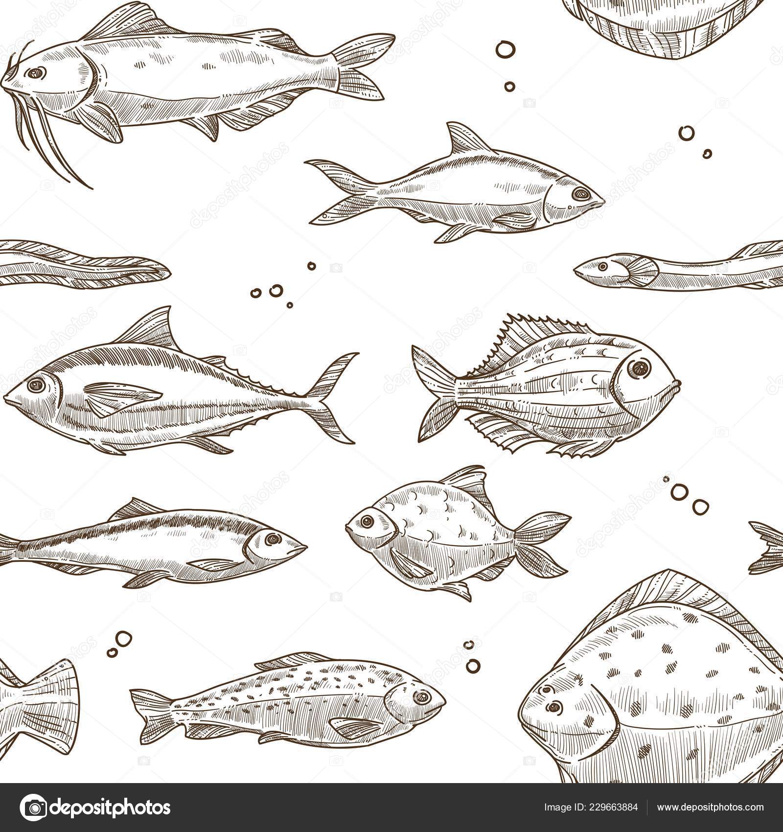 Fish Sketch Pattern White Background Stock Vector Image by ©Sonulkaster ...