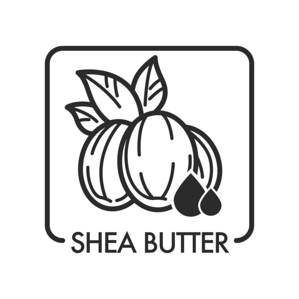Shea butter Vector Art Stock Images | Depositphotos