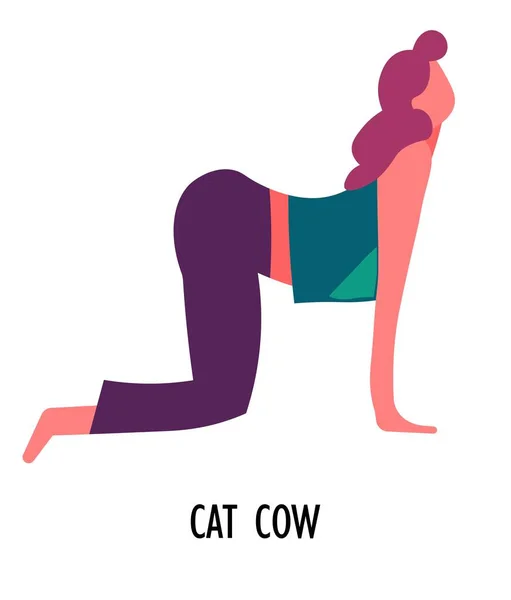 Cat cow pose Vector Art Stock Images | Depositphotos