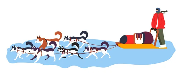 ᐈ Dog sledding cartoon stock pictures, Royalty Free dog sledding ...