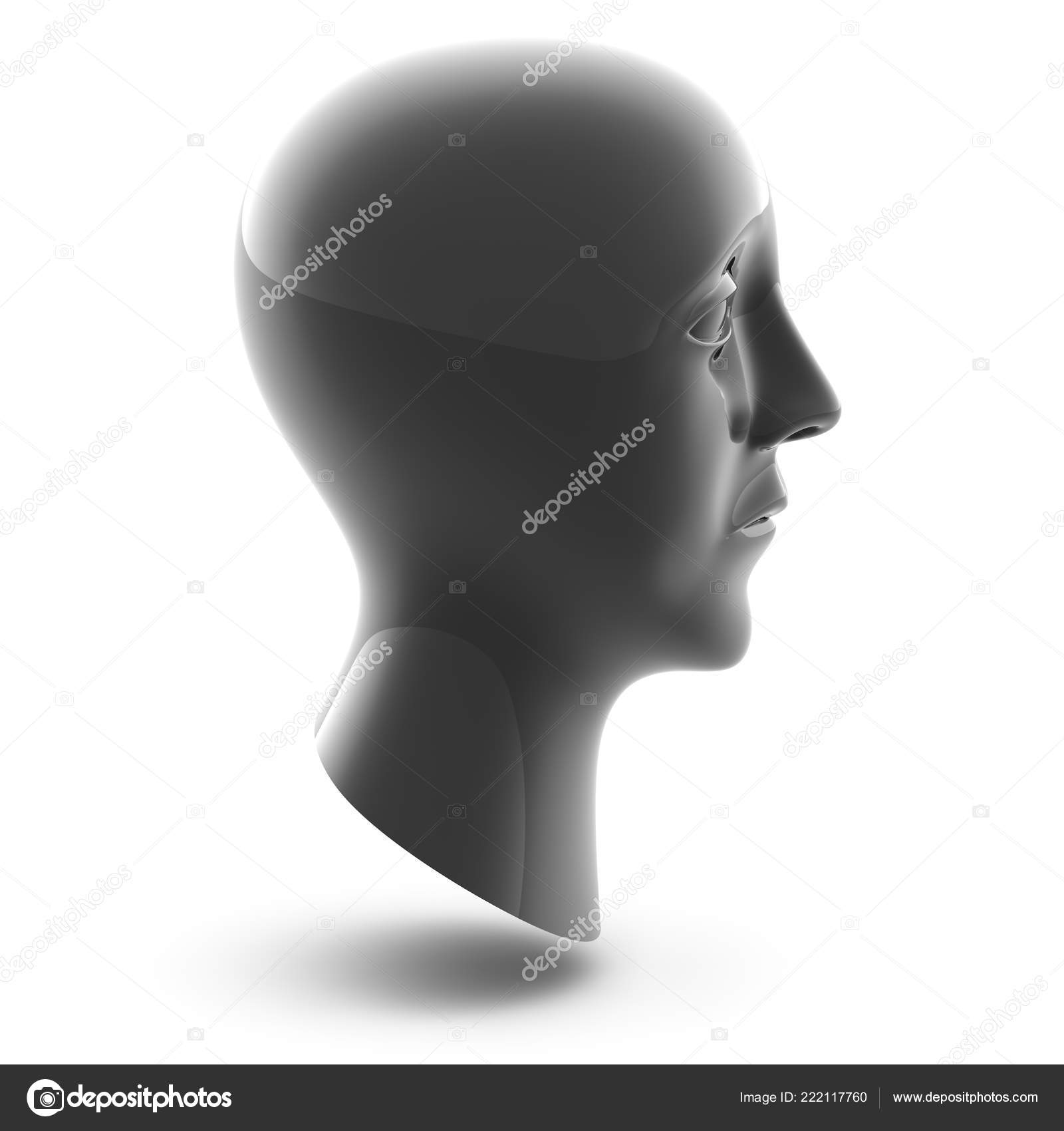 Head White Background Illustration Stock Photo by ©PirenX 222117760