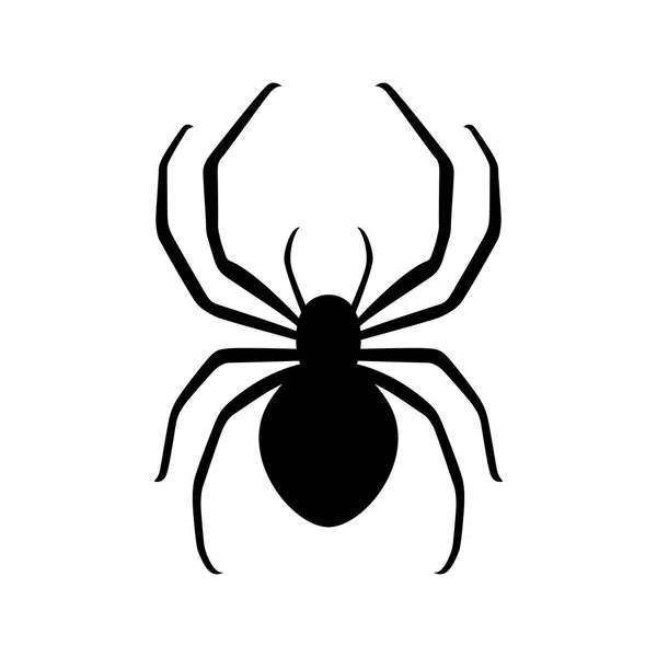 Simple Spider Vector