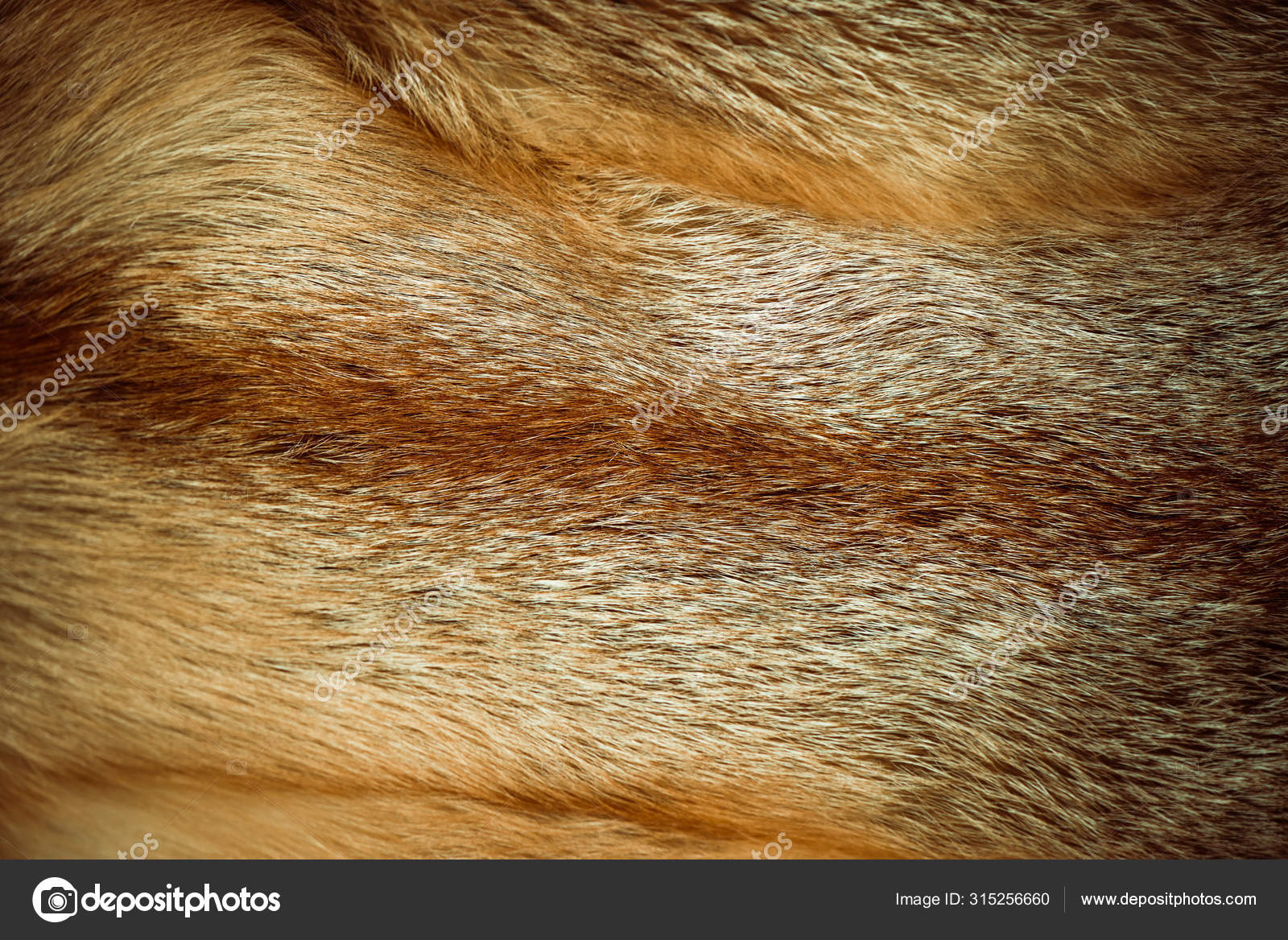 Luxury Fox Fur Fabric Texture Multicolor Reflections Surface — Stock ...