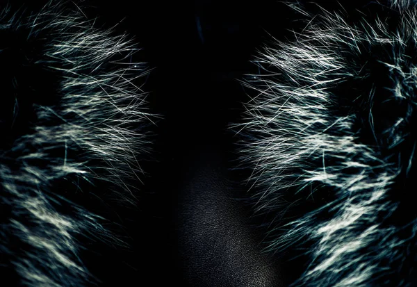 Underground fur fotos de stock, imágenes de Underground fur sin ...