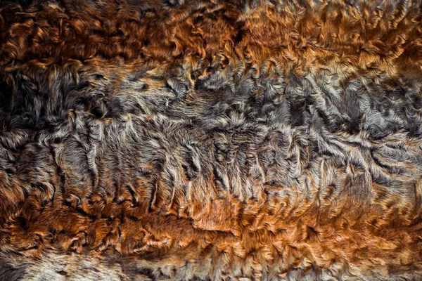 Luxury Fox Fur Fabric Texture Multicolor Reflections Surface — Stock ...