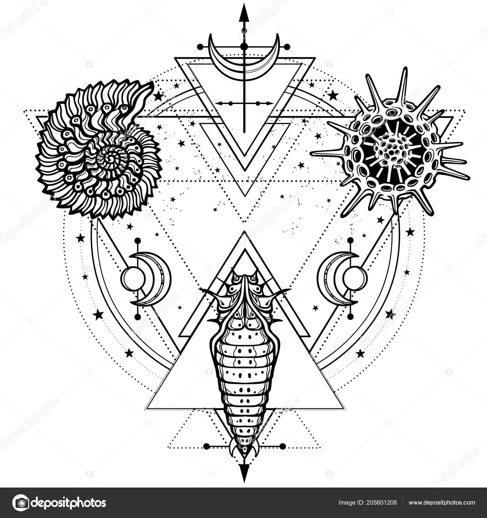 Mysterious Drawing Shell Larva Molecule Sacred Geometry Esoteric ...